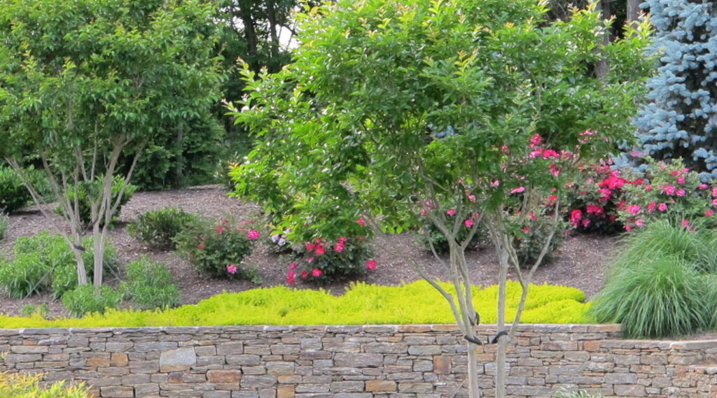 Gallery - Beechtree Landscape and Design